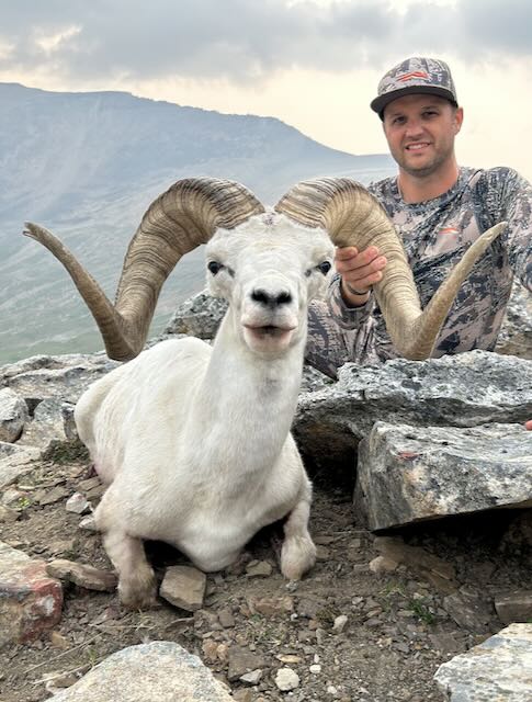 Dall Sheep – Gana River
